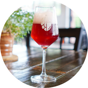 Seltz Out: Festive Fizz – Orange Cranberry Hard Seltzer • Sapwood ...